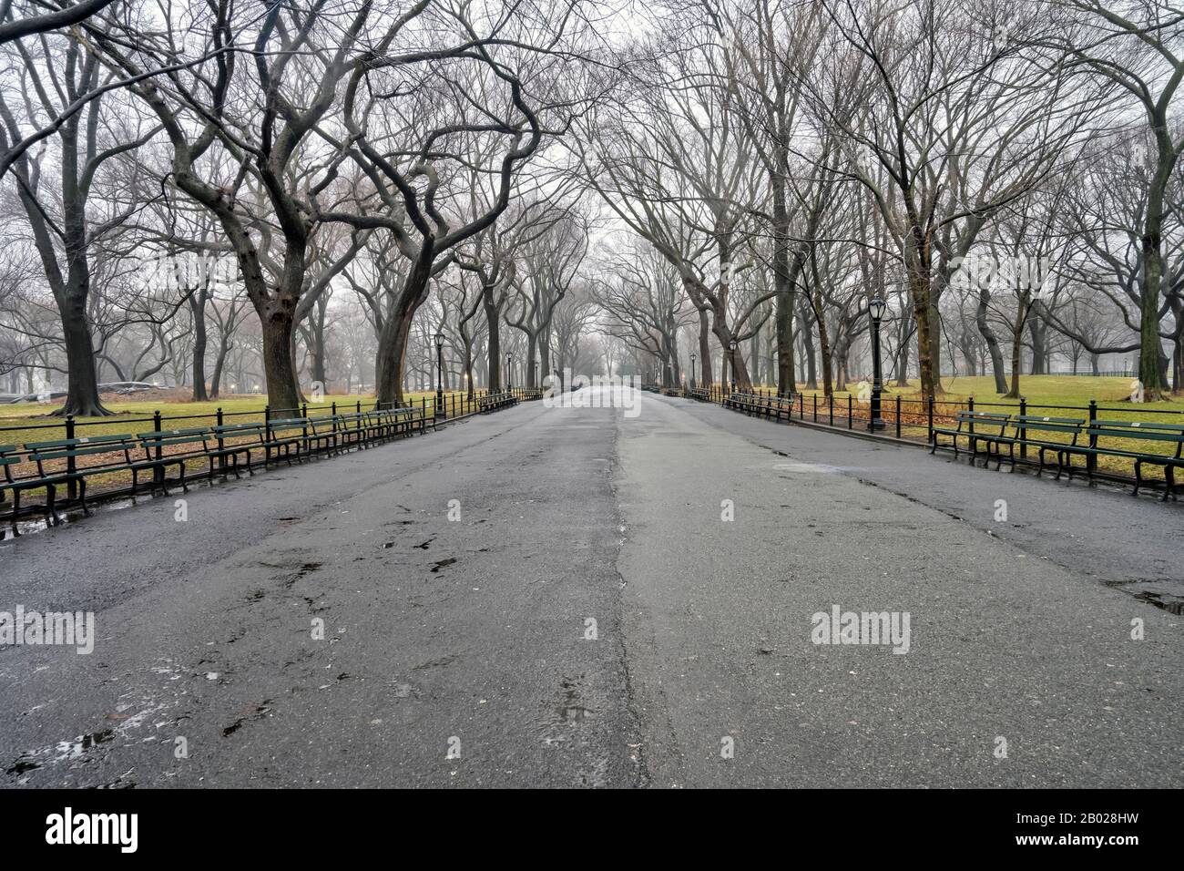 The Mall in Central Park, New York City on rainy day Stock Photo - Alamy