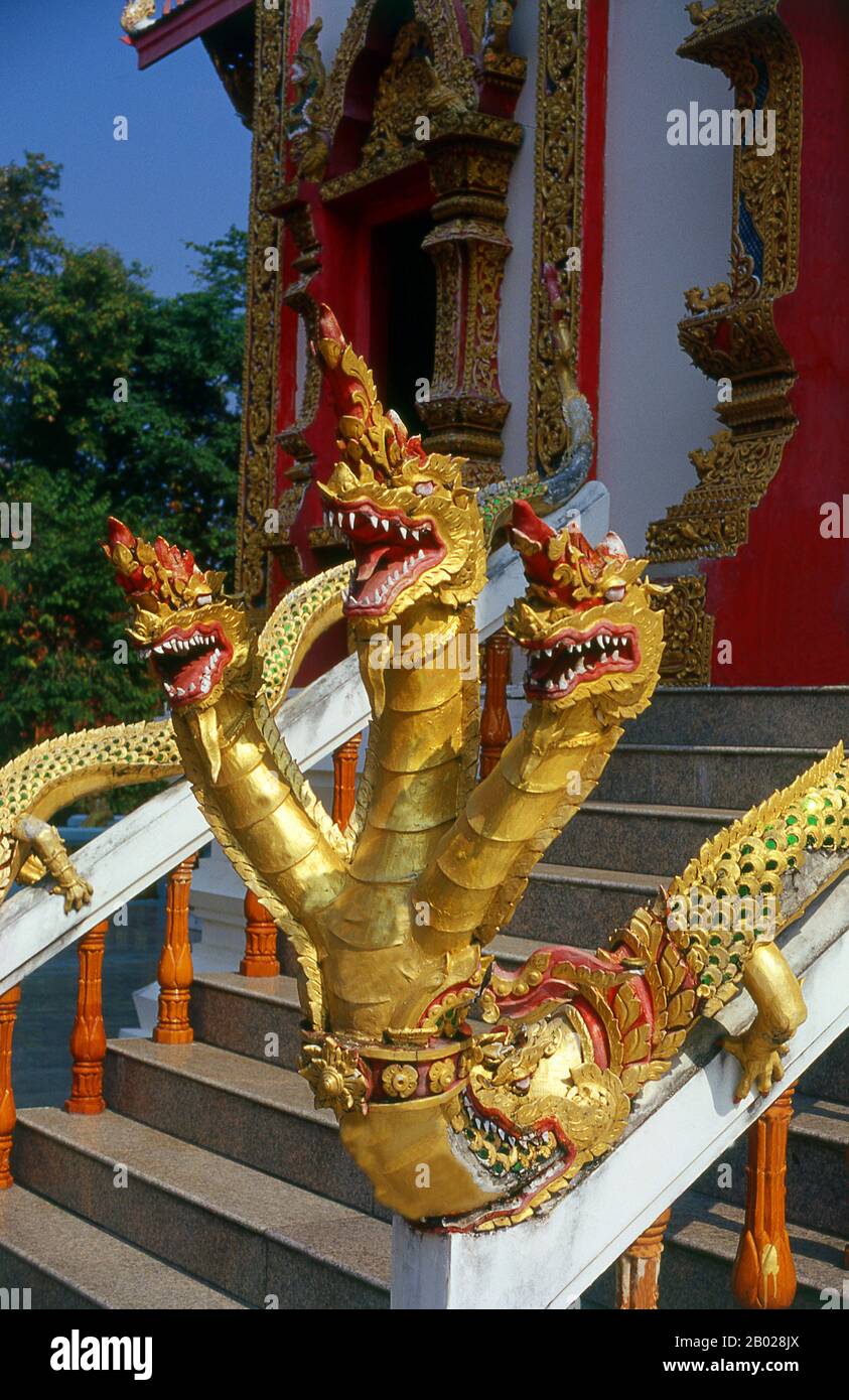 Makara crocodile hi-res stock photography and images - Alamy