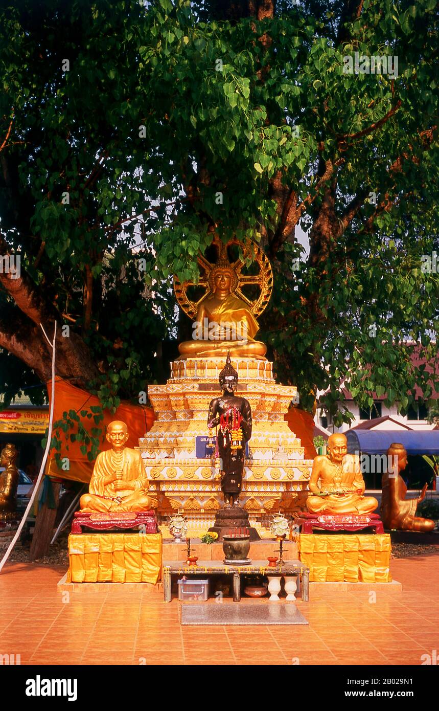 Thailand: Buddha statue under a bodhi tree in the grounds of 15th ...