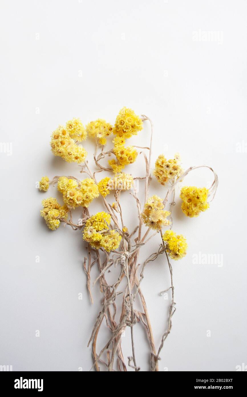 Dried yellow flowers bouquet isolated on white background from a high ...