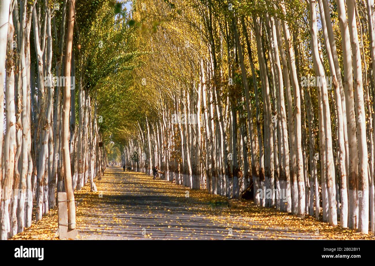 Muslim trade routes hi-res stock photography and images - Alamy