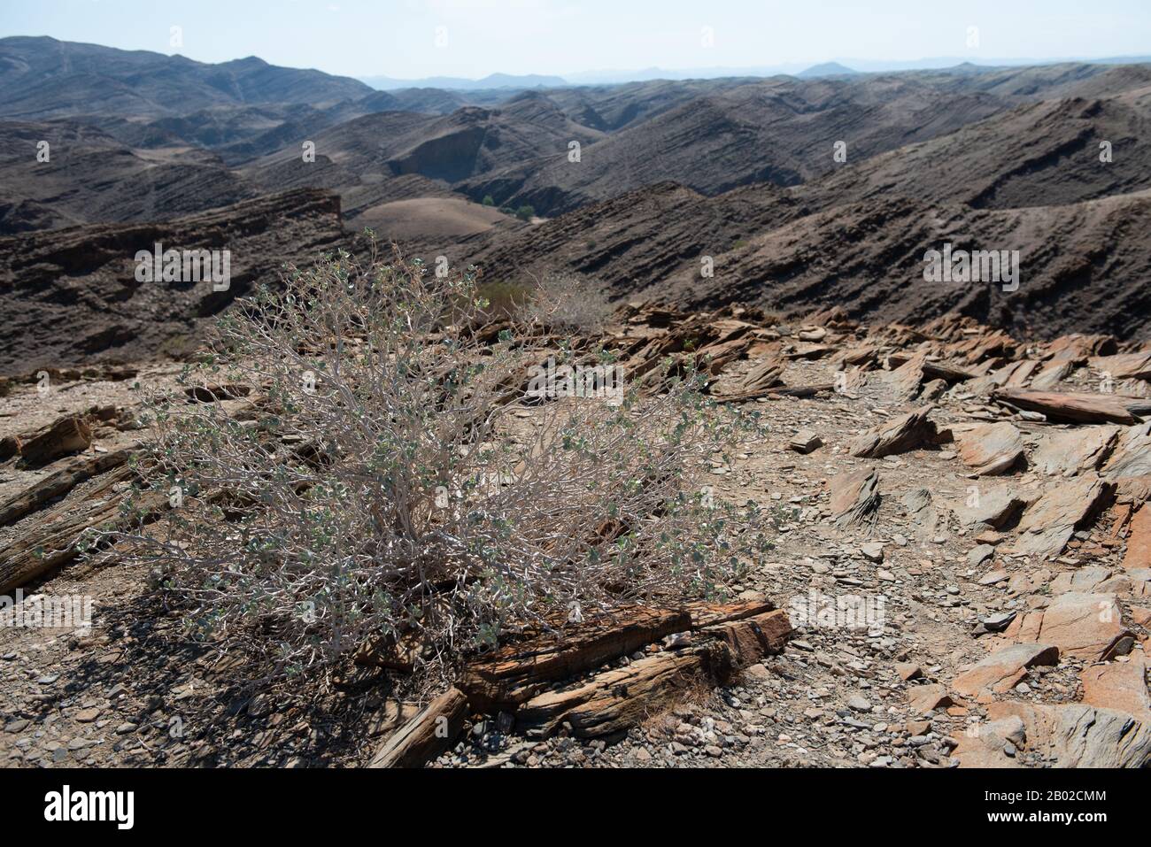 rocks and stones in Namibia Stock Photo - Alamy