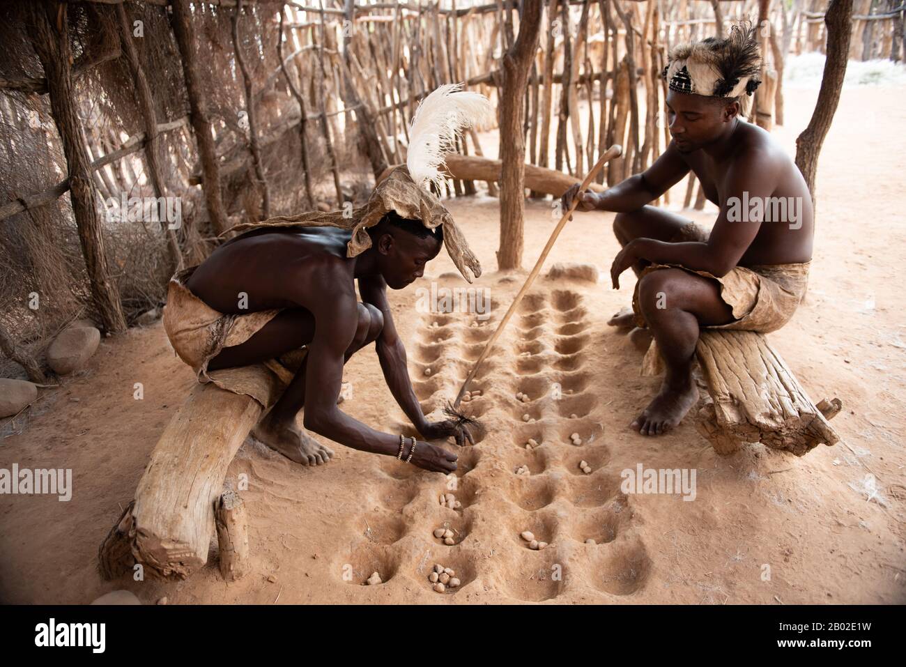 Living desert museum hi-res stock photography and images - Alamy