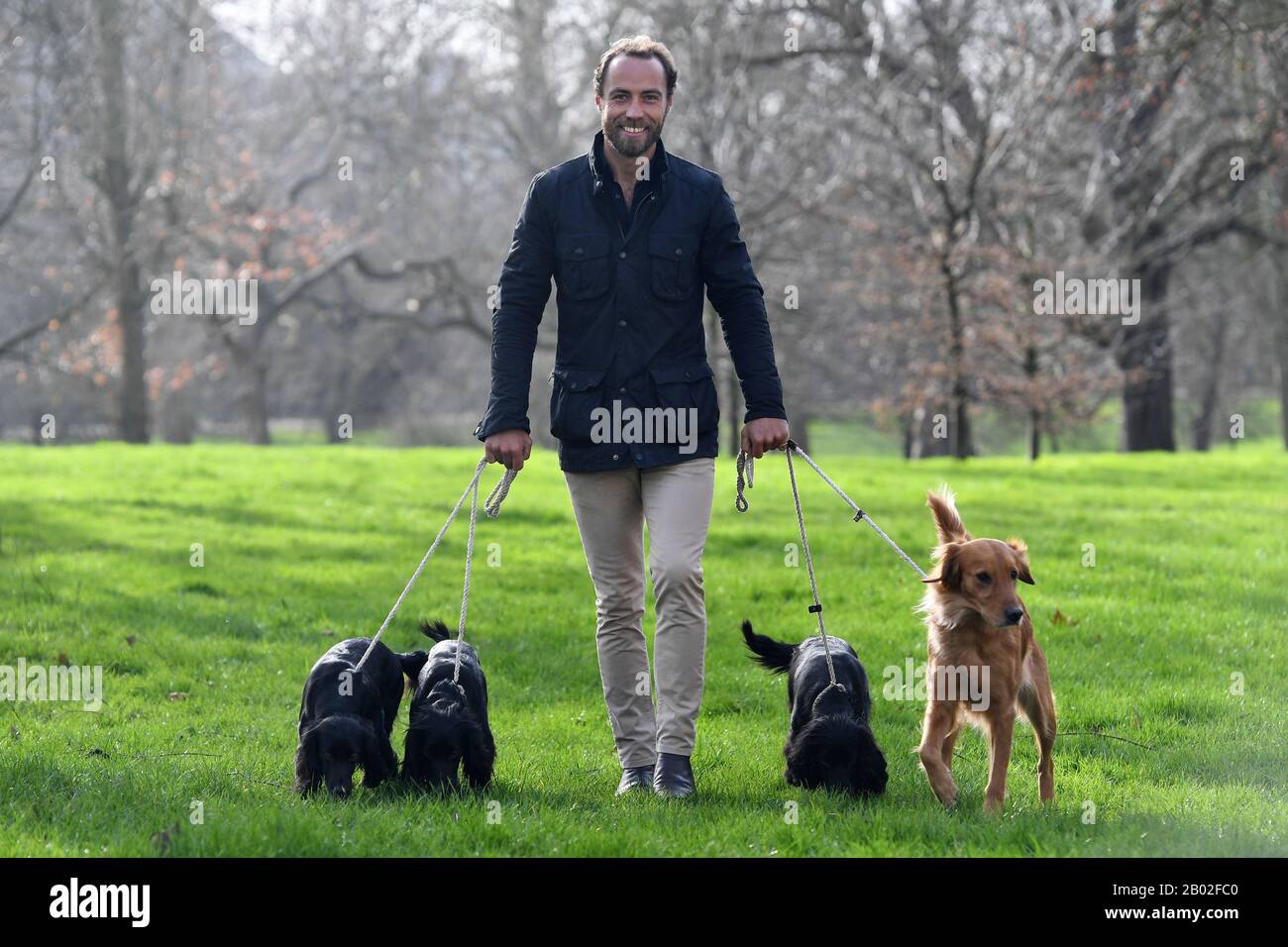James middleton dogs hi-res stock photography and images - Alamy