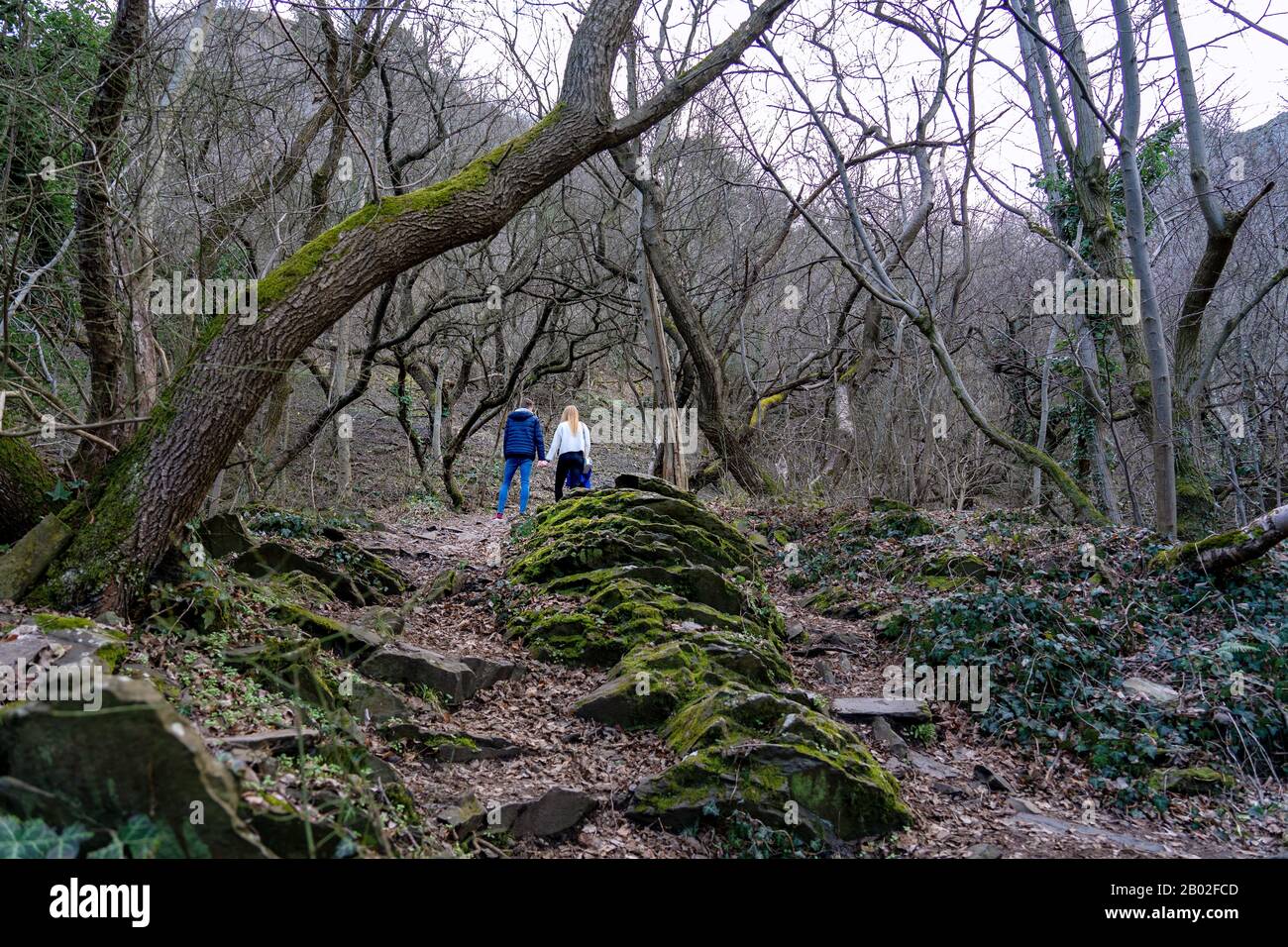 Hungarian national blue trail hi-res stock photography and images - Alamy