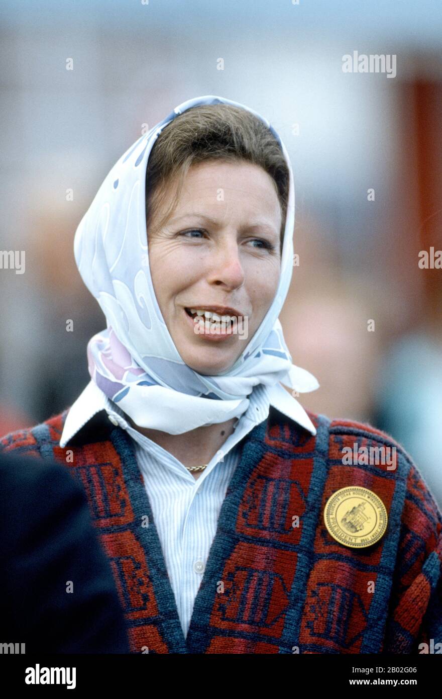 Headshot head shot captain hi-res stock photography and images - Alamy