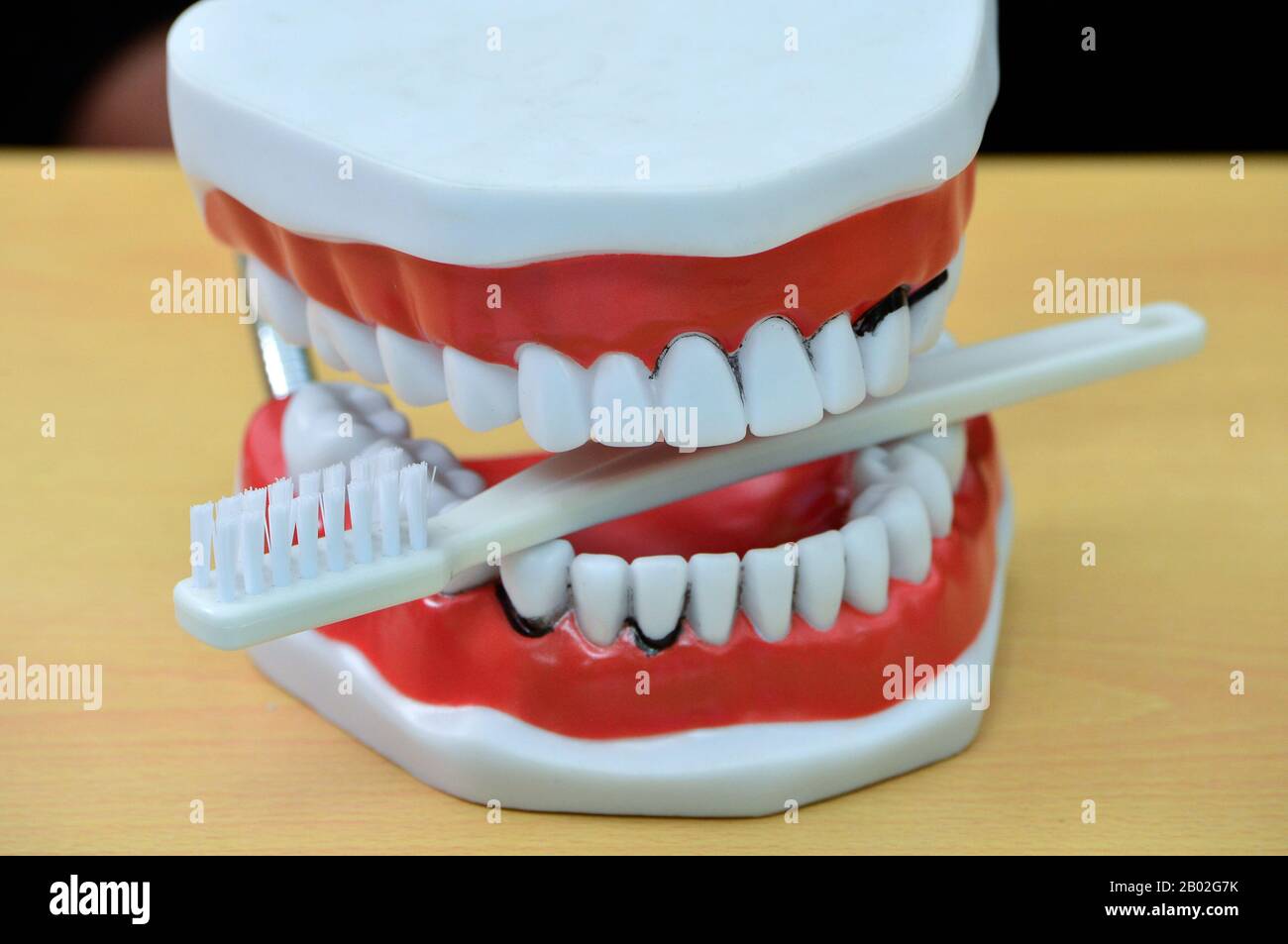 Oversized toothbrush hi-res stock photography and images - Alamy