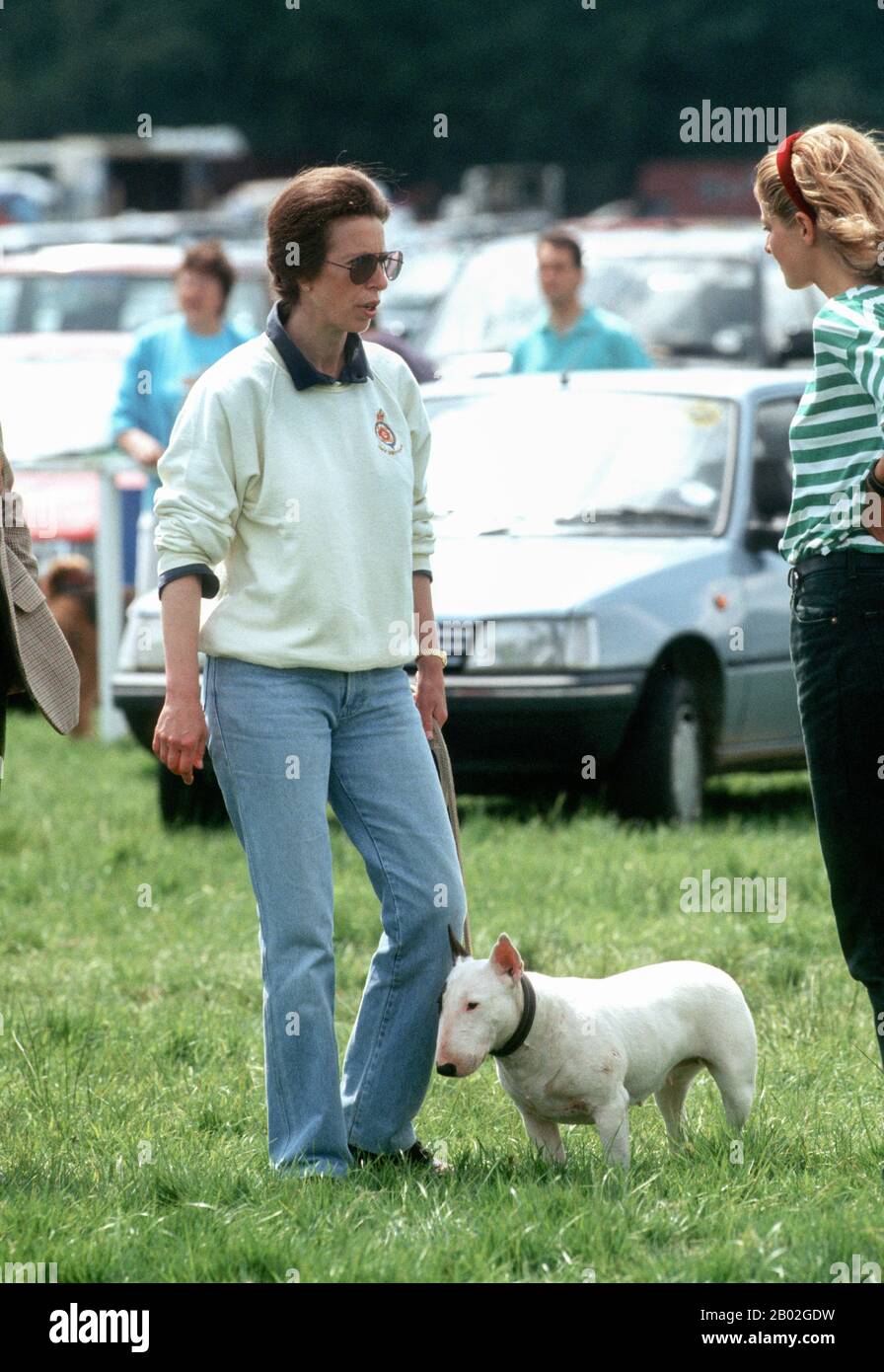 HRH Princess Anne with her pitbull terrier dog at the Windsor Horse ...