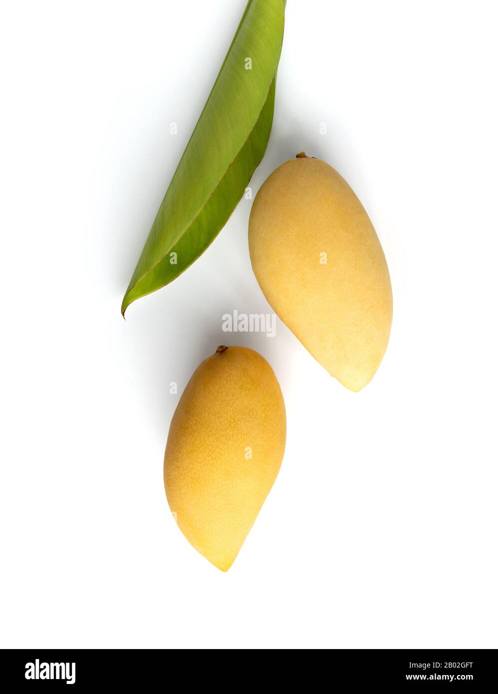 Flat lay top view creative composition made of mango and leaves Stock ...