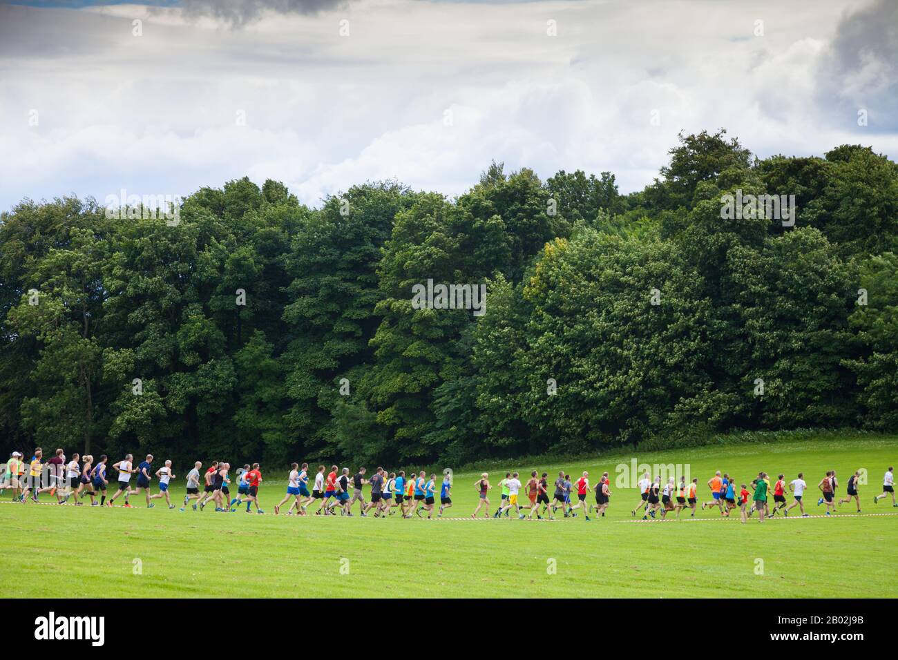 Athletic group running park hi-res stock photography and images - Alamy
