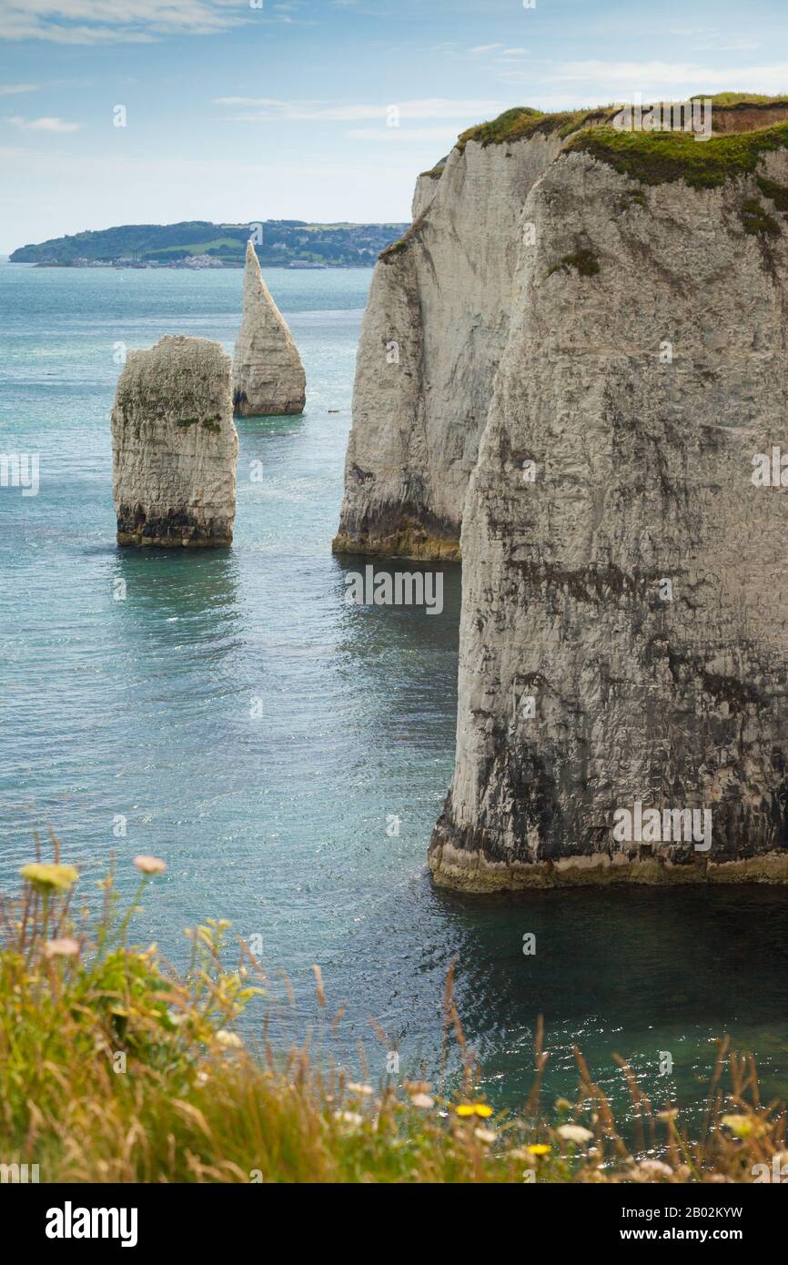 Chalk stack at Old Harry Rocks, Dorset, England Stock Photo - Alamy
