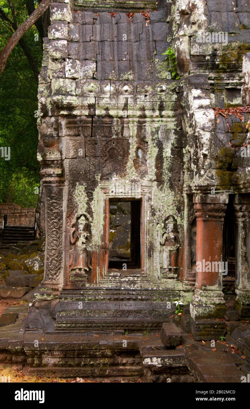 Two species predominate hi-res stock photography and images - Alamy