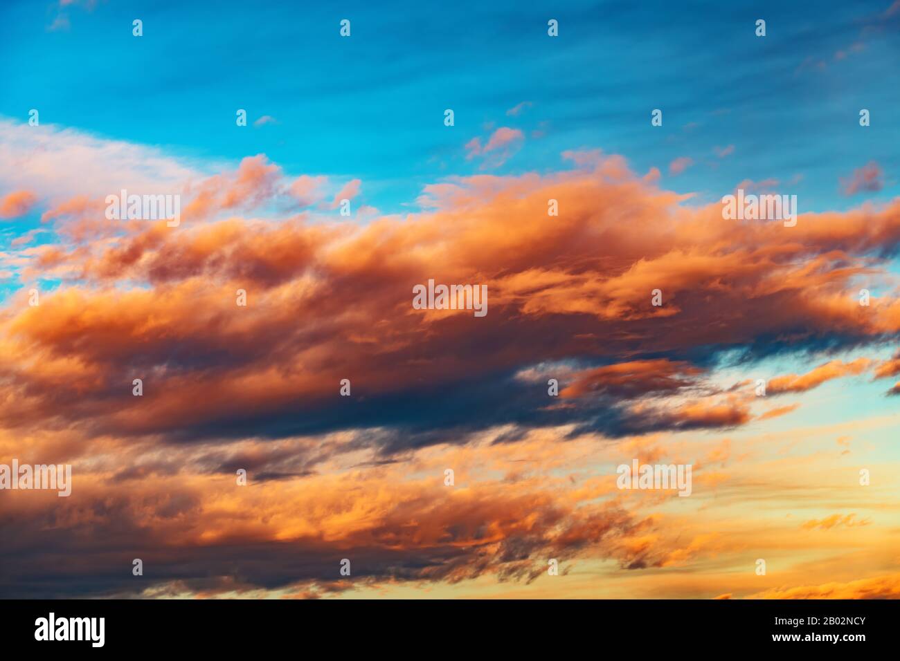 Beautiful natural background orange hi-res stock photography and images ...