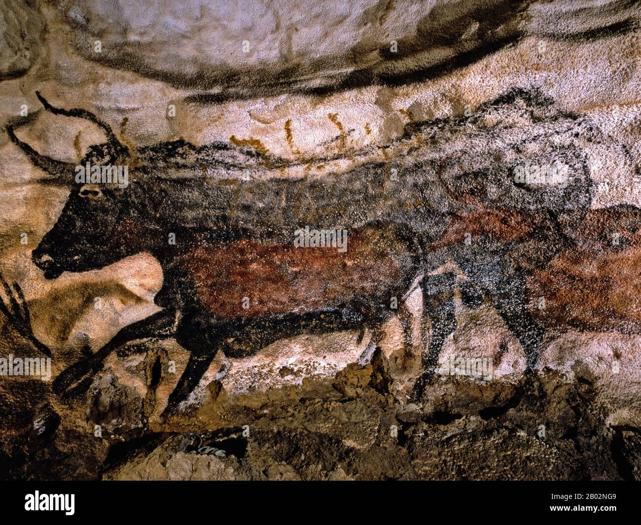 Cave painting prehistoric cow hi-res stock photography and images - Alamy