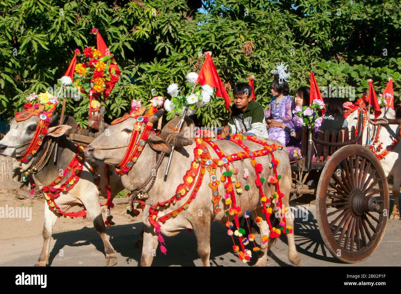 Shinbyu is the Burmese term for a novitiation ceremony (pabbajja) in ...