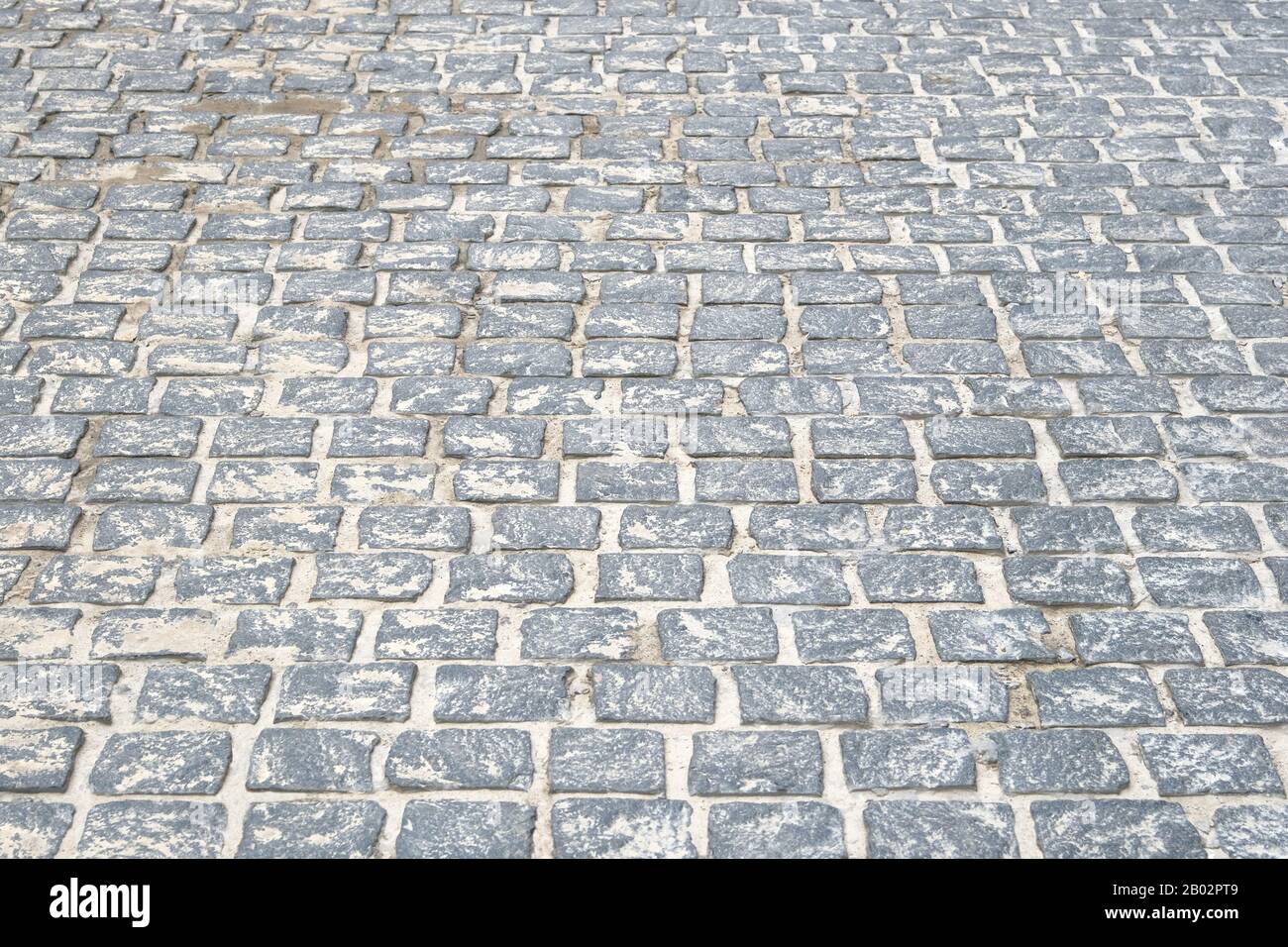 Gray Paving stone, background. Pedestrian zone in the park in daylight ...