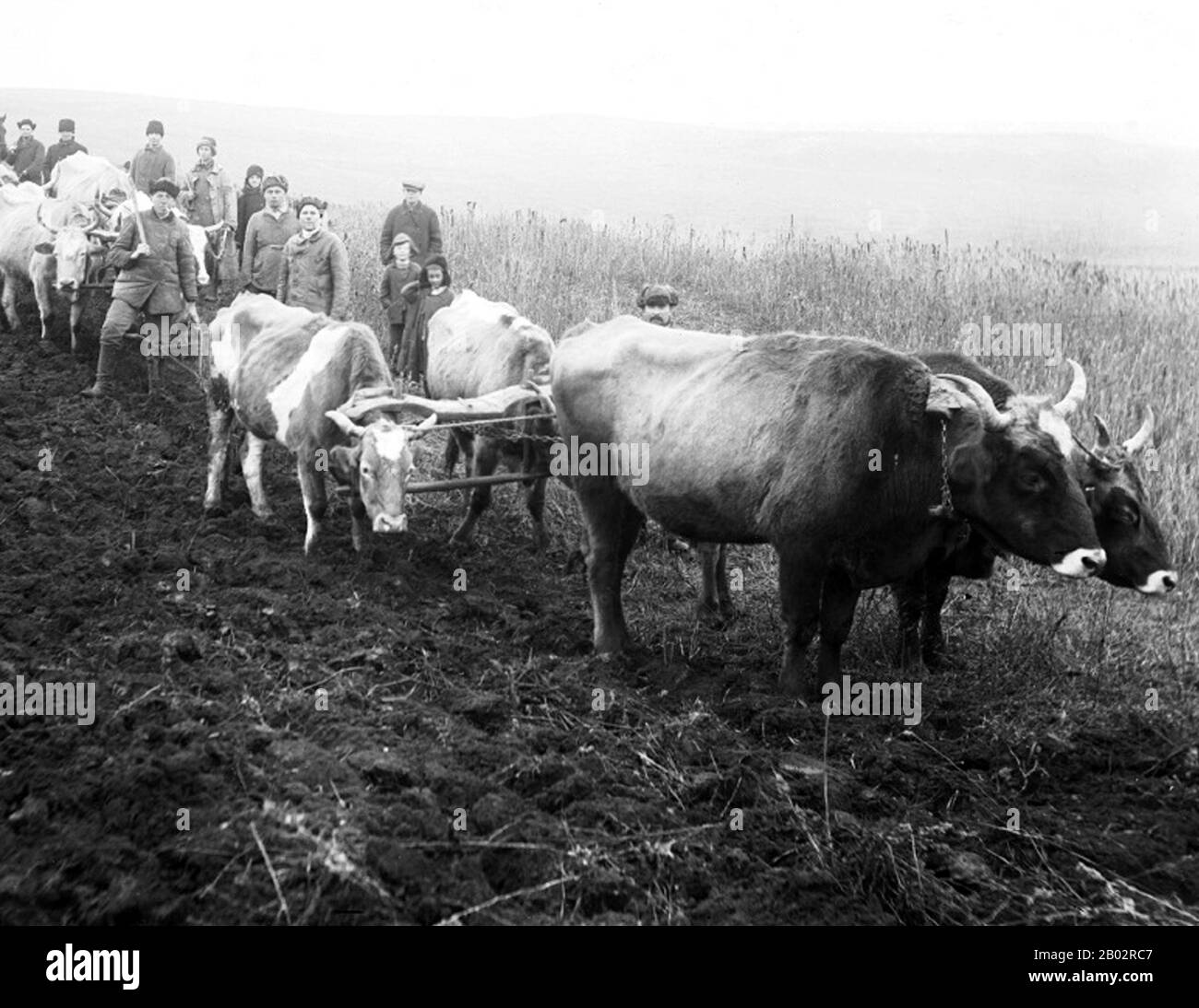 The Holodomor was a man-made famine in the Ukrainian Soviet Socialist ...