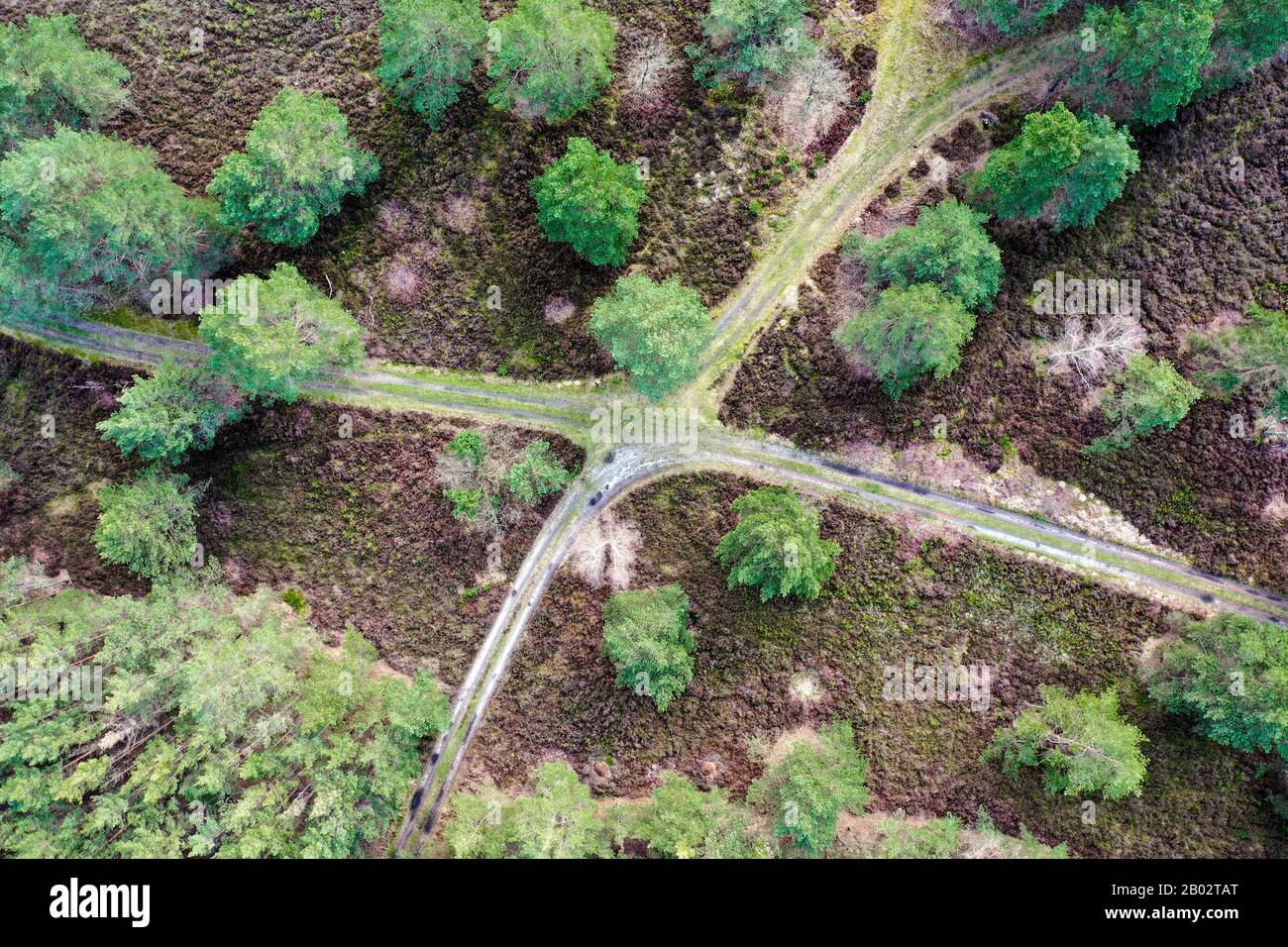 Two paths fork forest hi-res stock photography and images - Alamy