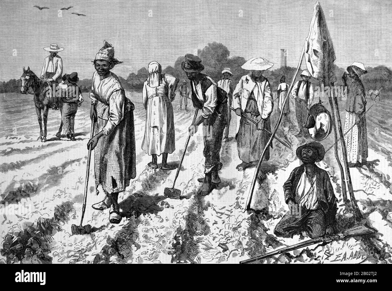 Middle Passage Slave Trade