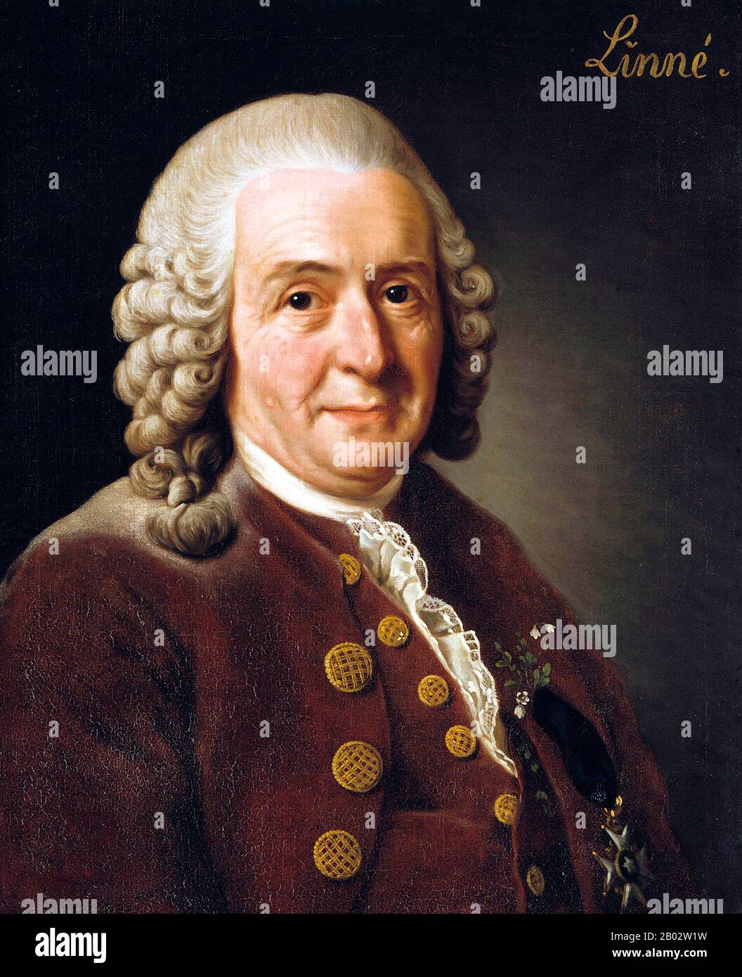 Carl Linnaeus, also known after his ennoblement as Carl von Linné, was ...