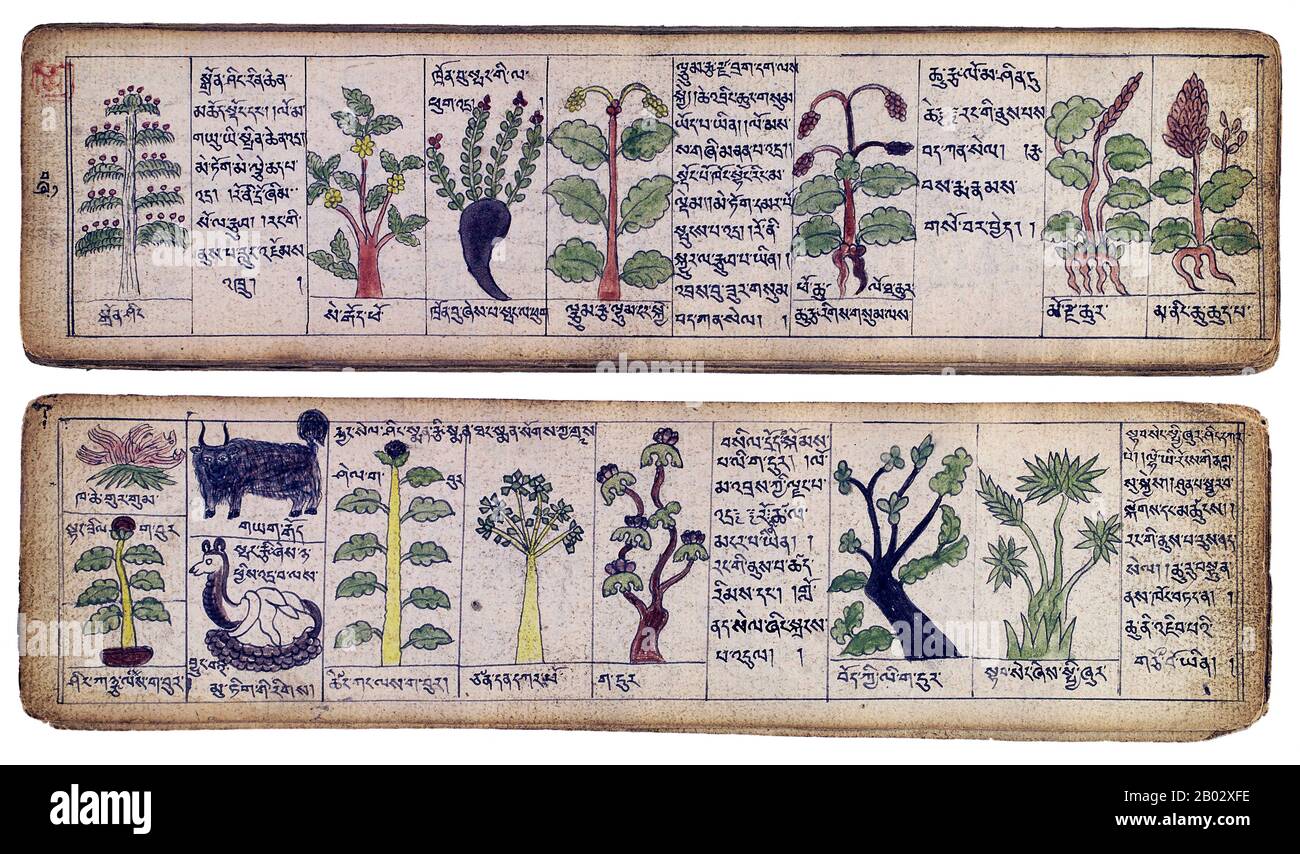 Physician pedanius dioscorides Cut Out Stock Images & Pictures - Alamy