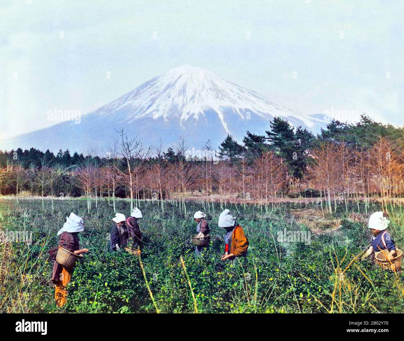 The Meiji period, also known as the Meiji era, is a Japanese era which ...