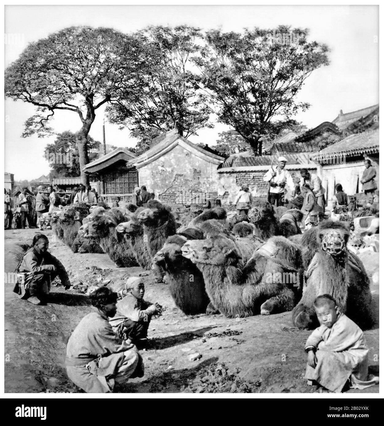 Ancient caravans Cut Out Stock Images & Pictures - Alamy