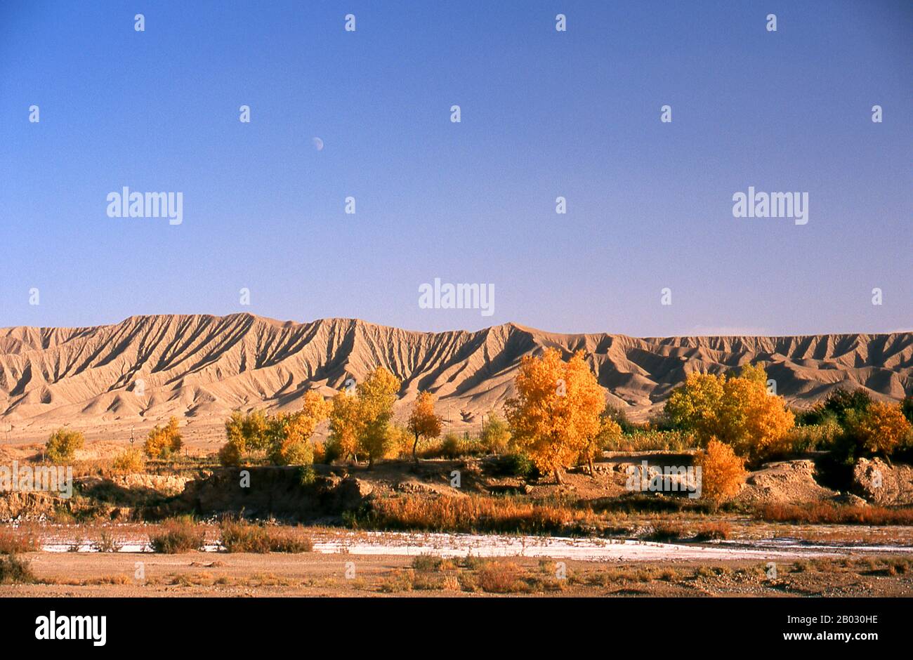 The Kunlun Mountains are one of the longest mountain chains in Asia ...