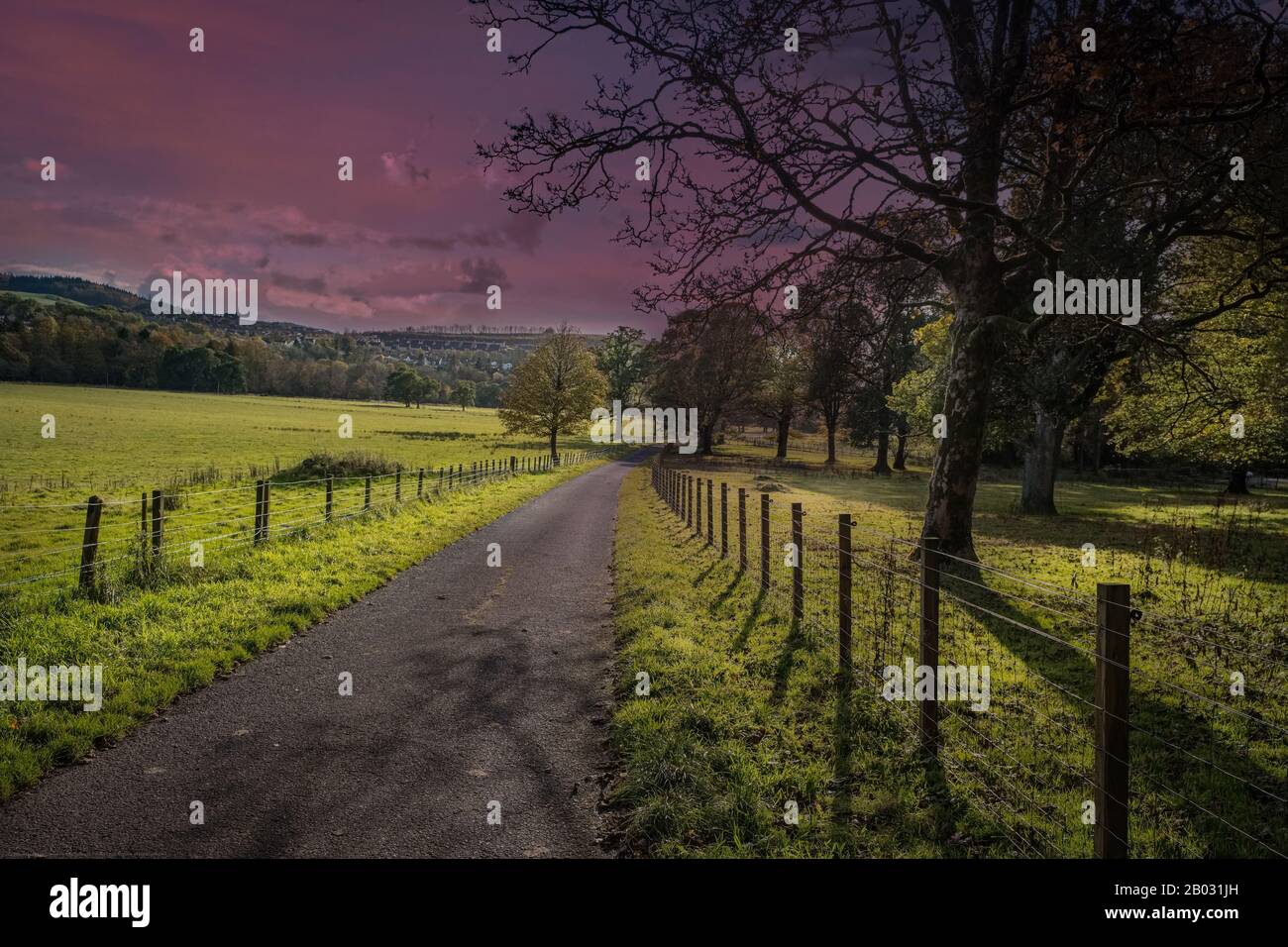 Ardgowan Estate High Resolution Stock Photography and Images - Alamy