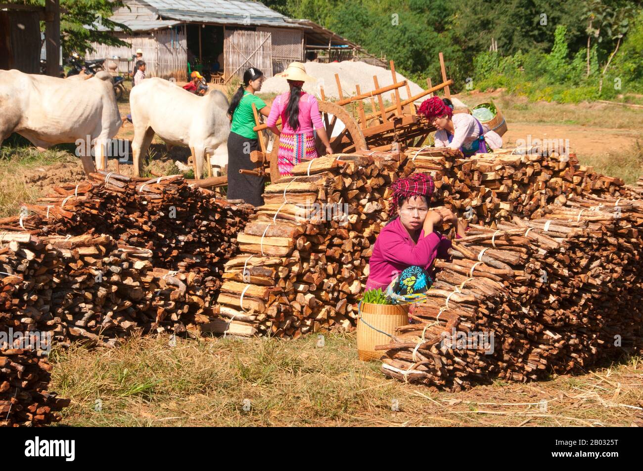 The Pa-O are the seventh largest ethnic nationality in the Republic of ...