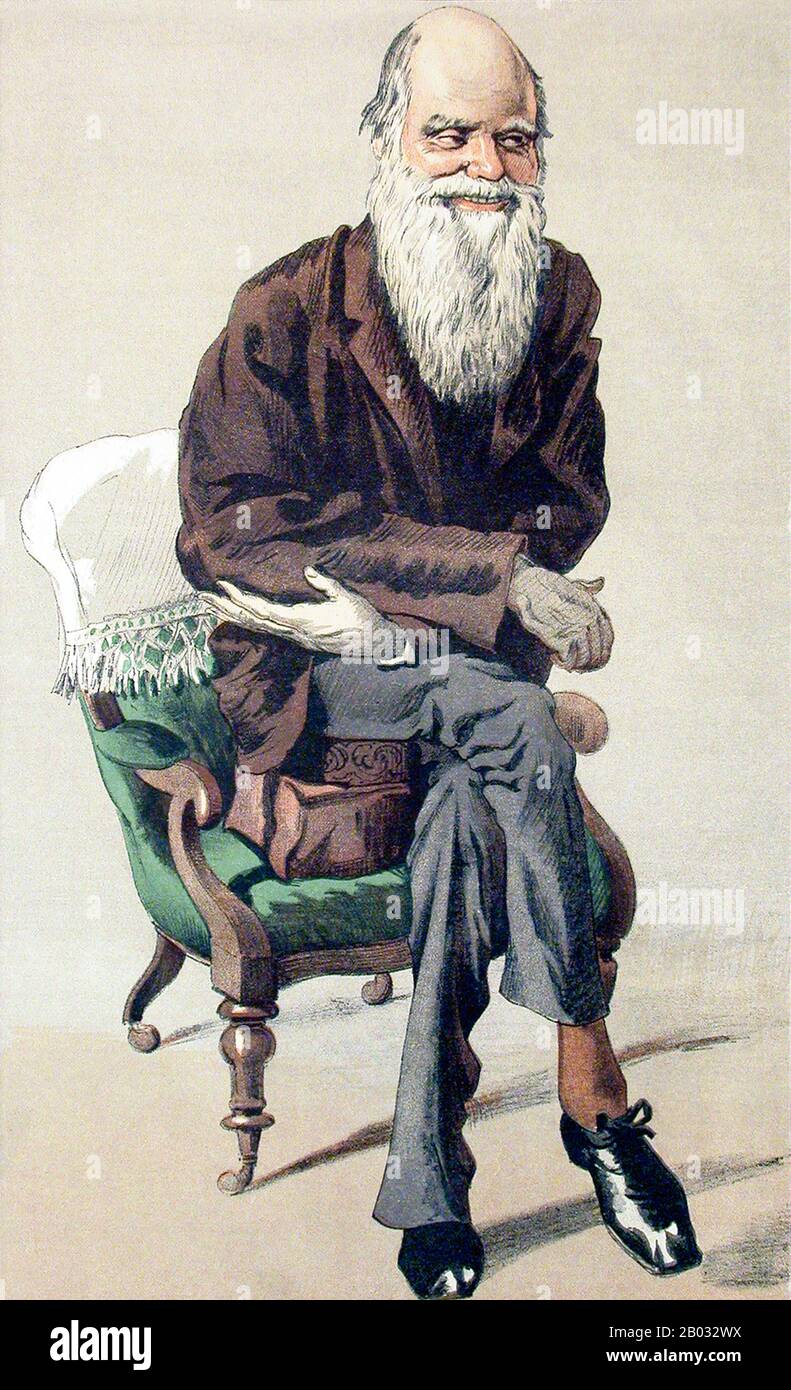 Charles darwin drawing hi-res stock photography and images - Alamy