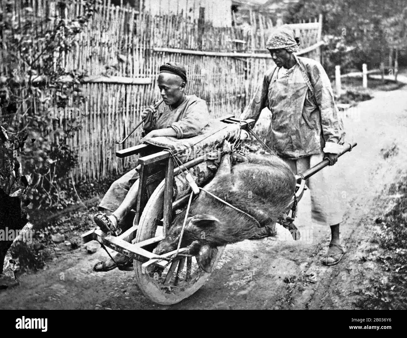 Edward Bangs Drew (1843 - 1924) joined the Chinese Maritime Customs ...