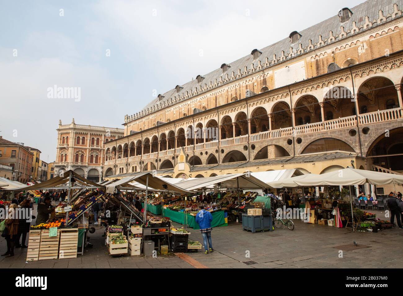 Vegetable market at the Palazzo della Ragione in Padova / Padua, Italy ...