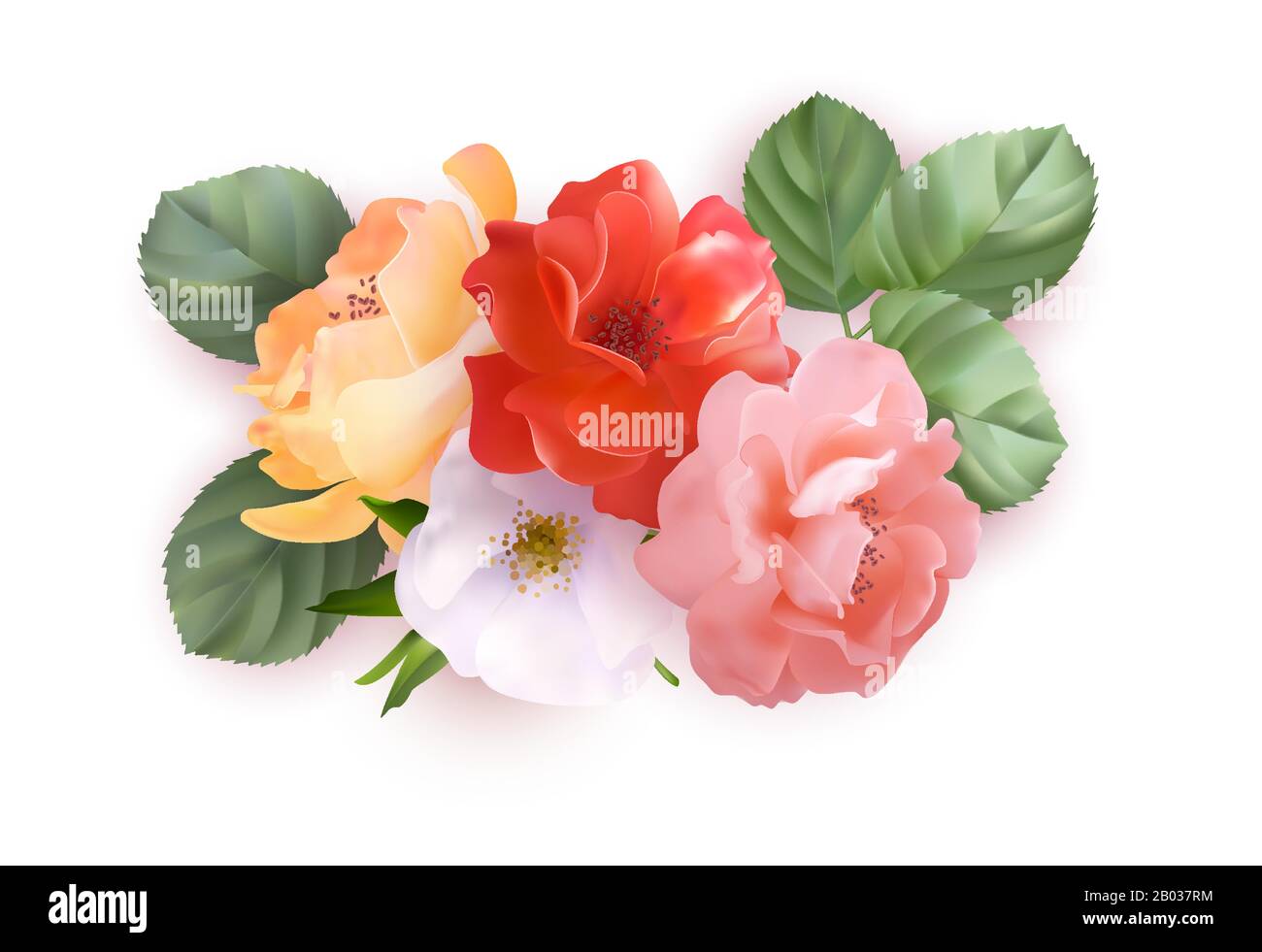 Festive flower arrangement Stock Vector Image & Art - Alamy