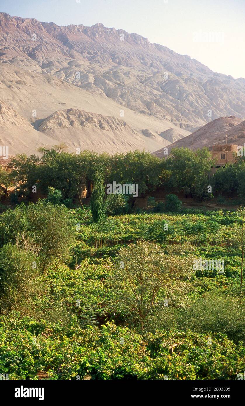 Tuyoq or Tuyugou is an ancient oasis-village in the Taklamakan desert ...