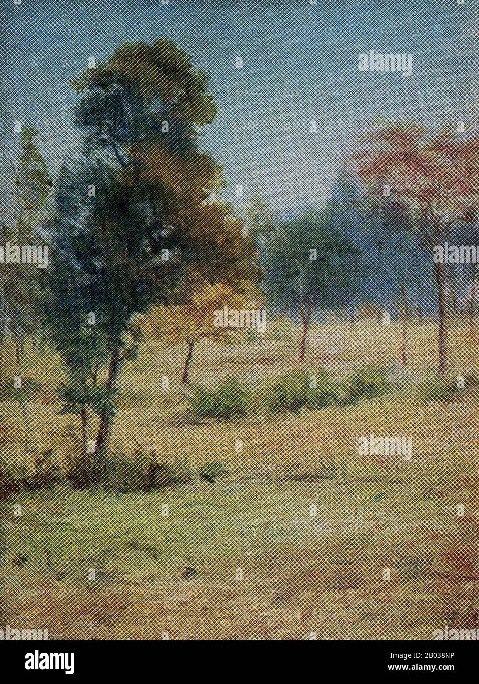 Aoki shigeru hi-res stock photography and images - Alamy