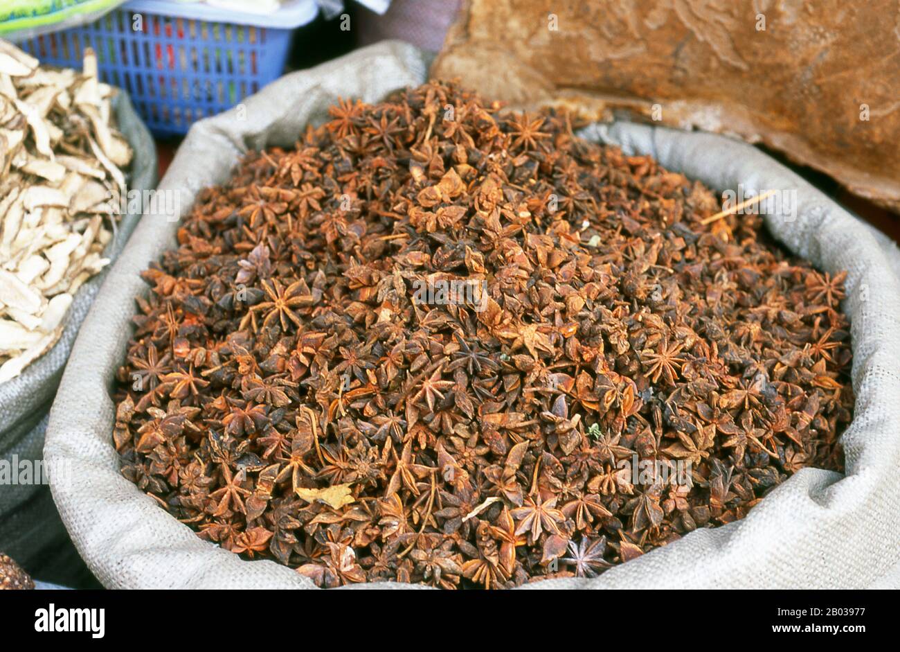 Chinese anise tree hi-res stock photography and images - Alamy