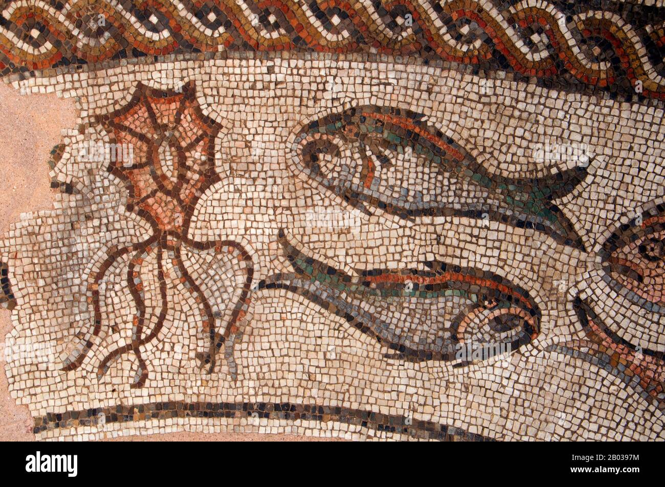 During the Roman Period, Christianity spread to Treviso. Tradition ...