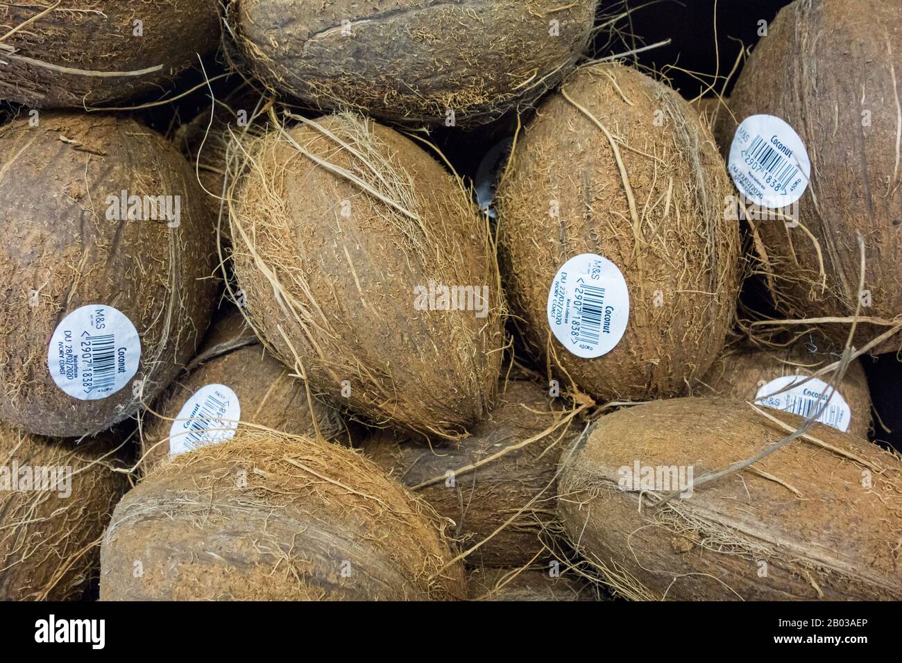 Hairy coconut hi-res stock photography and images - Alamy
