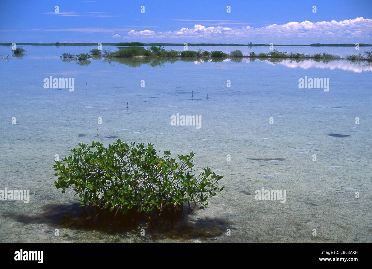 Archipelago jardines del rey hi-res stock photography and images - Alamy