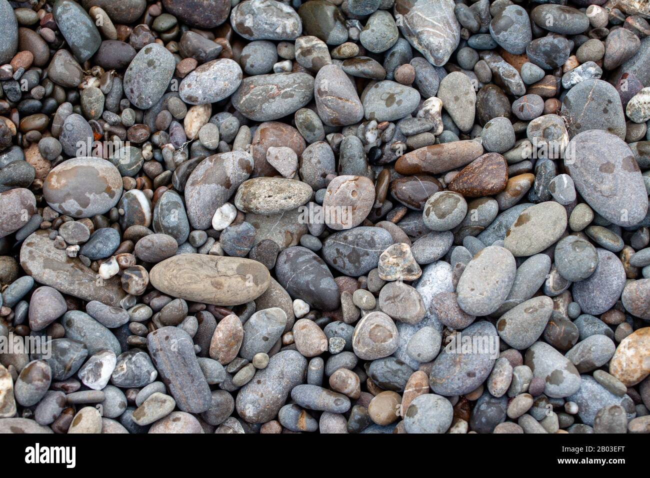 sea pebbles colored granite on the beach background stones. The shore ...
