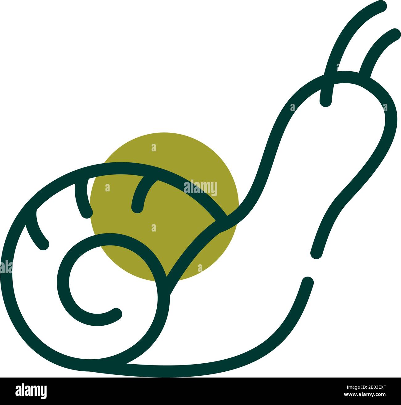 Snail half line half color style icon design, Biodiversity life natural ...