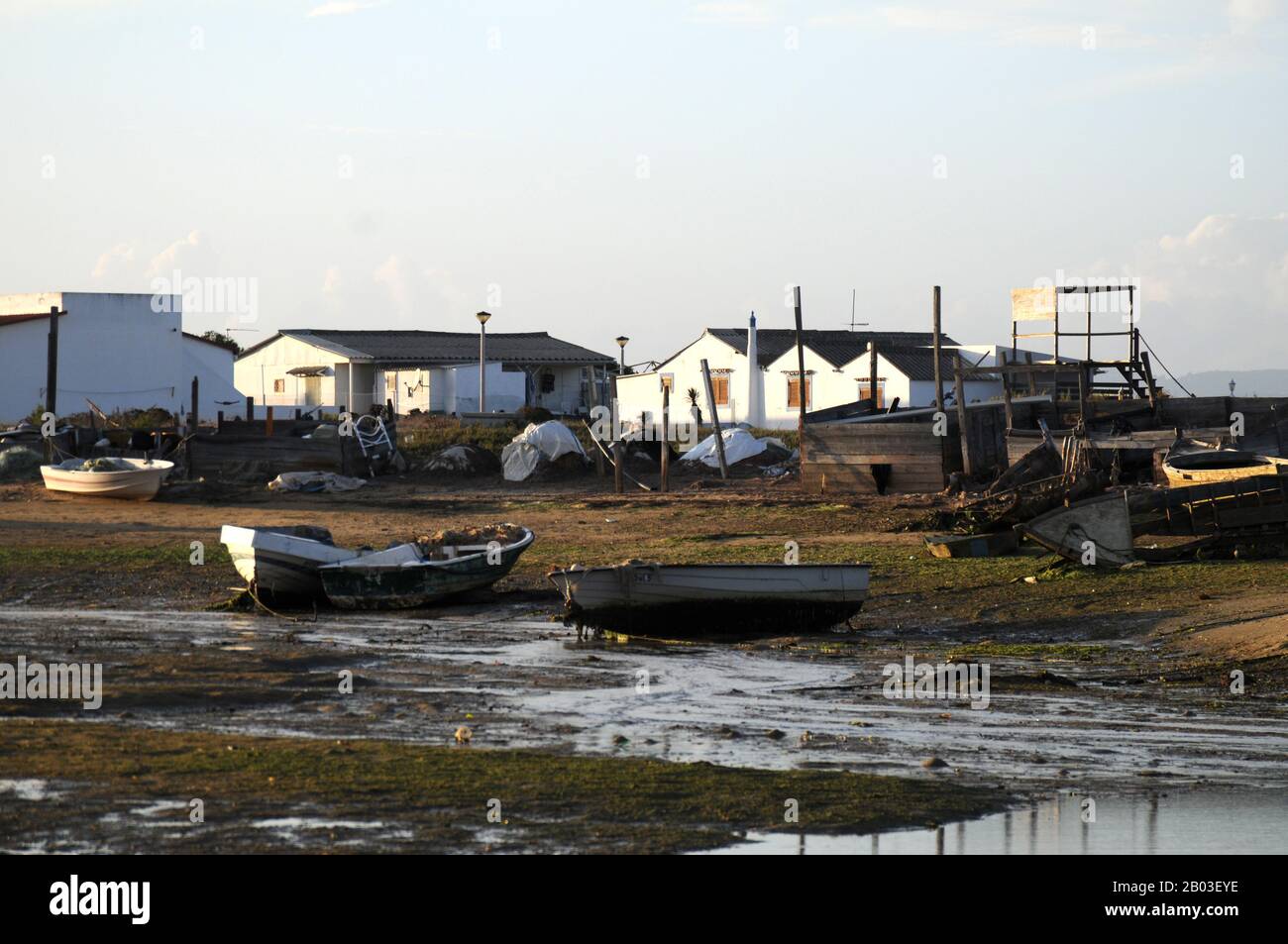 Clam pickers hi-res stock photography and images - Alamy