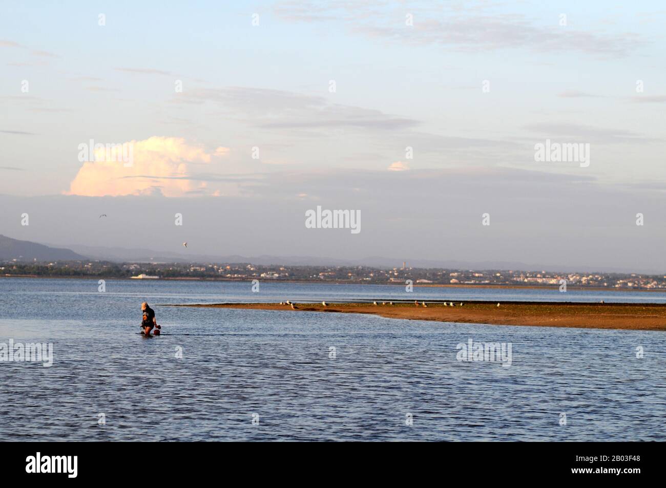 Clam pickers hi-res stock photography and images - Alamy