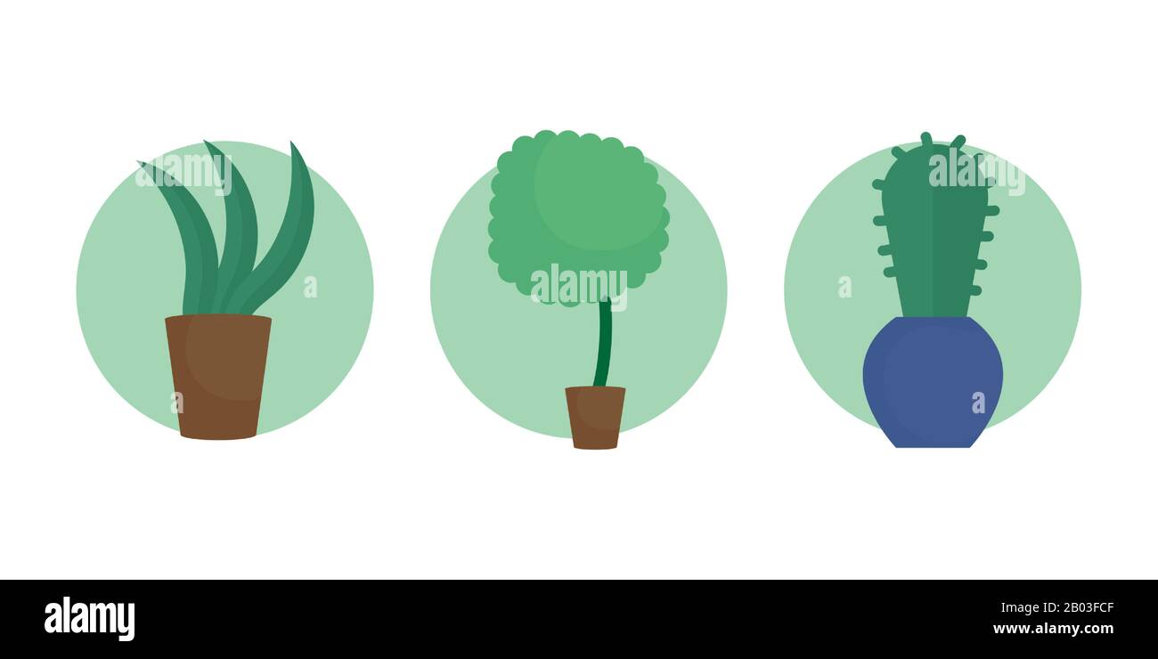set of office plants icons Stock Vector Image & Art - Alamy