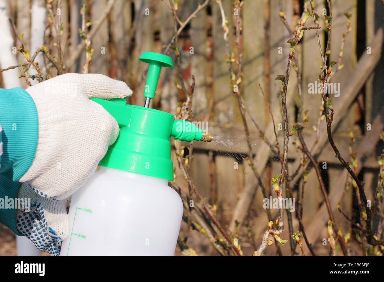 Hand insecticide spray hi-res stock photography and images - Alamy