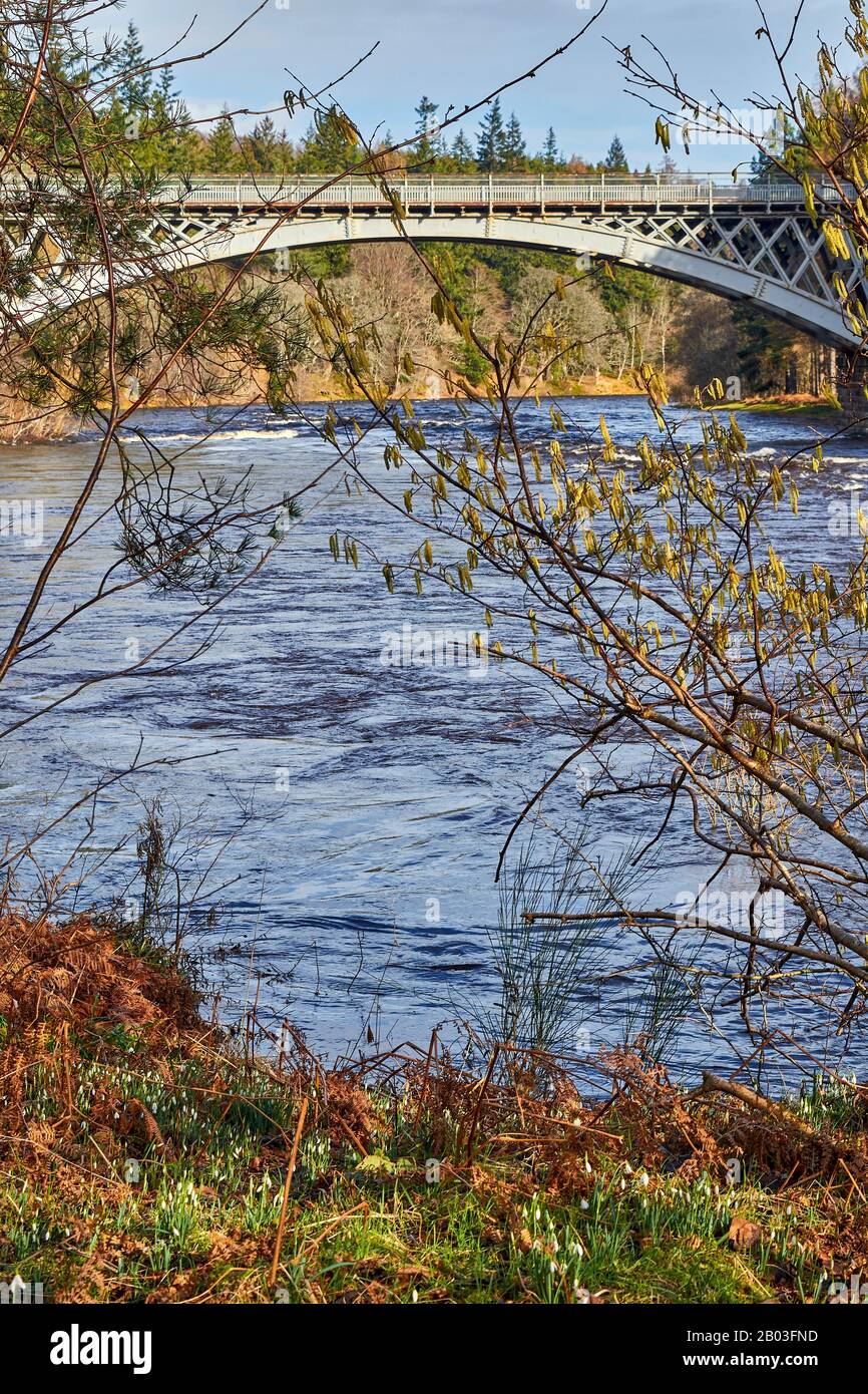Hazel bank hi-res stock photography and images - Alamy
