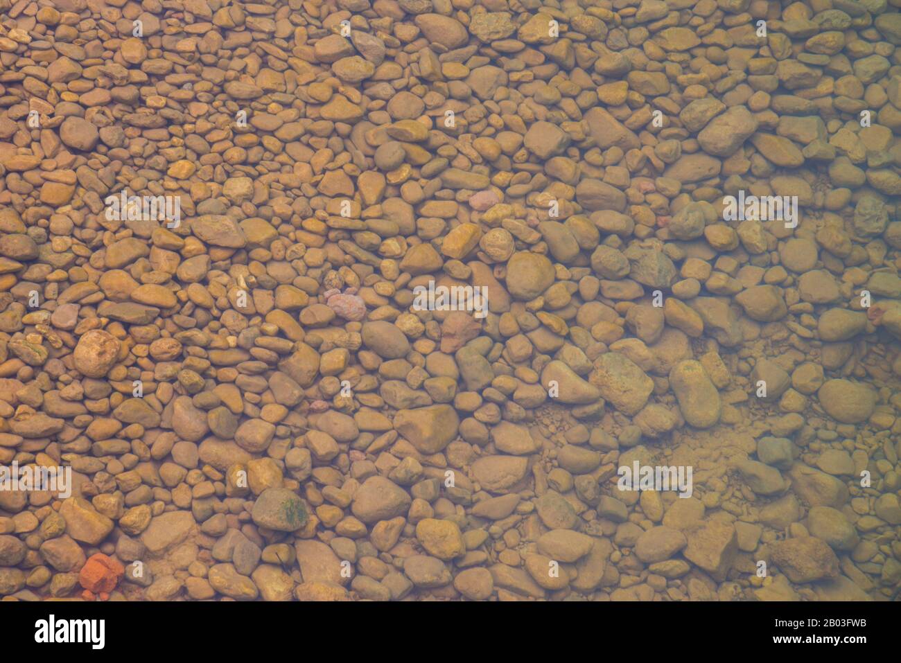 River Bottom Texture