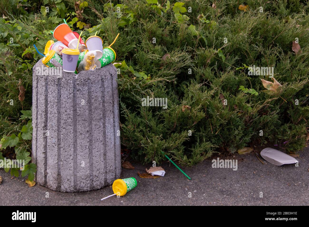 A full bin of paper cups in the park and scattered around the glasses ...