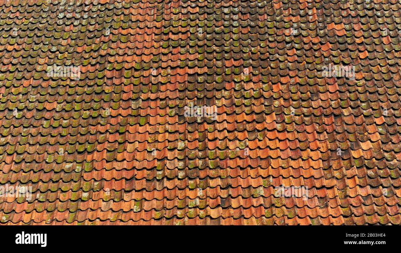 Roof with many weathered roof tiles. Texture of a roof with old roof ...